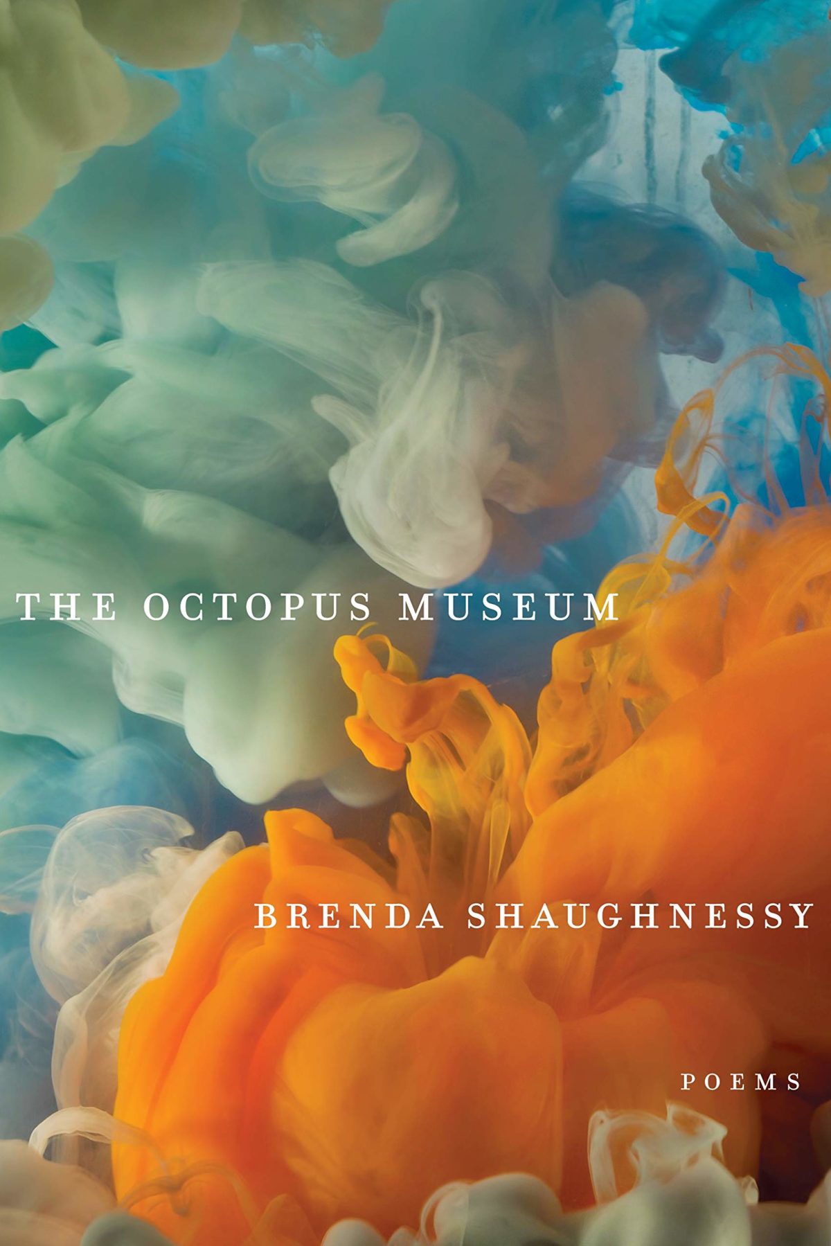 The Octopus Museum – Harvard Review