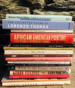 What We're Reading - Harvard Review