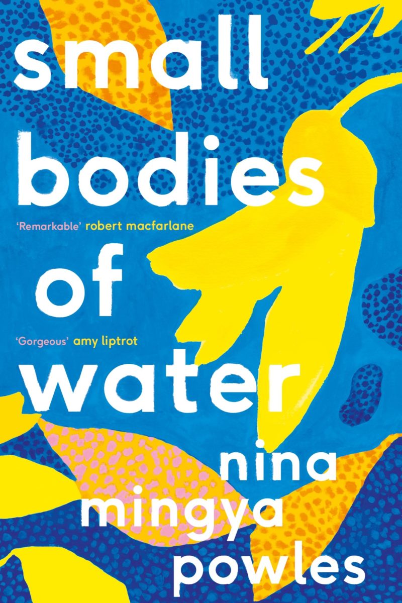 Small Bodies of Water - Harvard Review