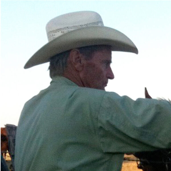 From the Making of "Shepard & Dark" - Harvard Review