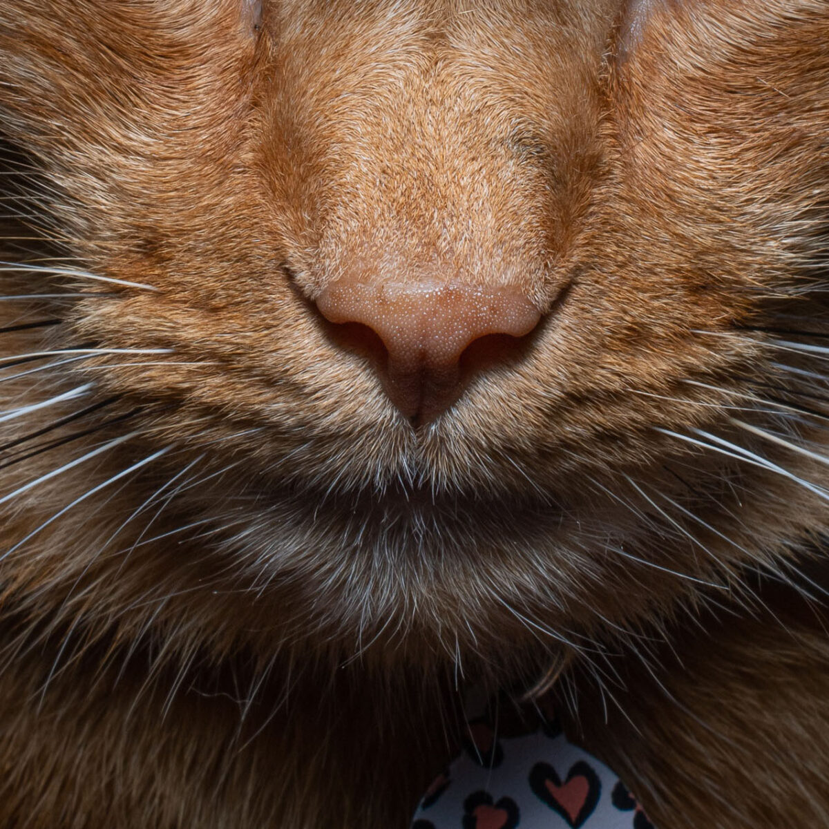 Home - Harvard Review