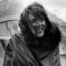 Four Early Poems by Ingeborg Bachmann - Harvard Review
